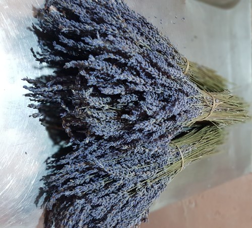 Greek Dried Lavender Bunch 300 stems 1 bunch 30-32 cm Organic Harvest ...