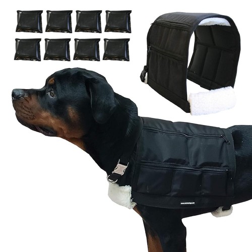 ActiveDogs Weighted Dog Vest with Weights - Dog Agility Training ...