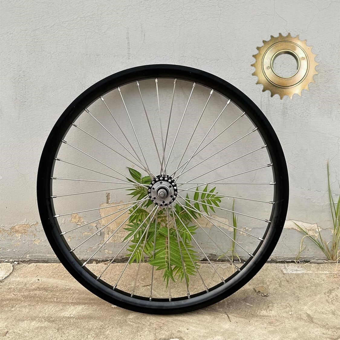 CDH 26'' Double Layer Alum Alloy 10G 36 Spokes Rear Wheel Rim ...