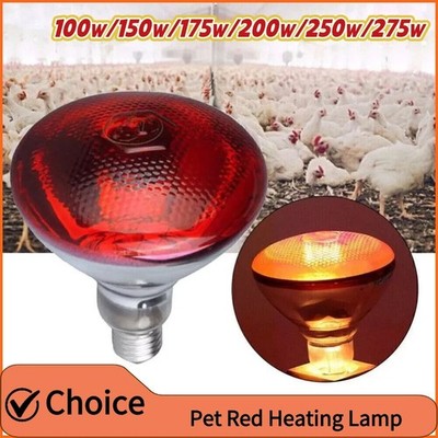 100w 150w 175w 200w 250w 275w Pet Red Heating Lamp for Chickens Coop ...