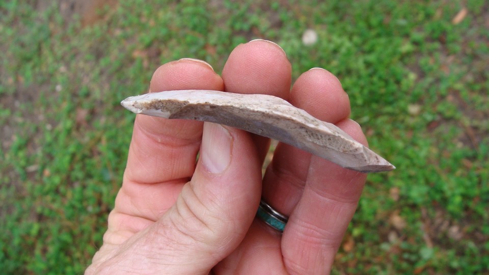 Fossil Shell KNIFE Deep South Arrowhead ~71~ | eBay