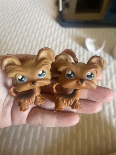 Littlest Pet Shop Shih Tzu Dog 6 Blue Eyes Shi Yorkie LPS | eBay