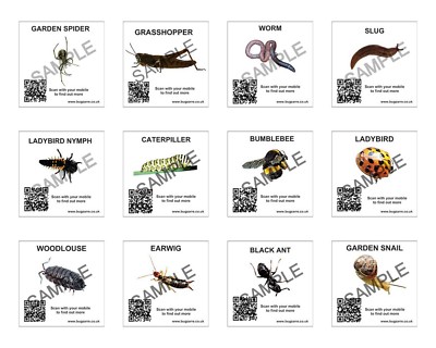 MINI INSECT SPOTTER SHEETS,PERFECT FOR BUG HUNTING | eBay