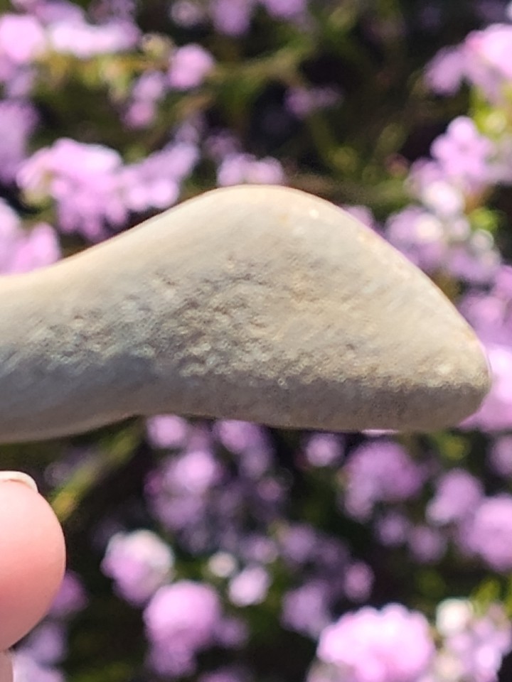 Indian Artifacts Atlatl Spur Ohlone Indian Artifacts California | eBay