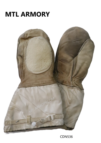 CANADIAN FORCES EXTREME COLD WEATHER MITTENS WITH LINER SIZE MEDIUM | eBay