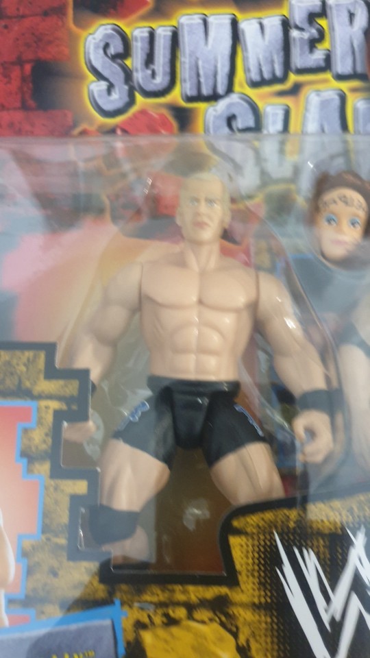 1999 Wwf Jakks Pacific Summer Slam 99 Hardcore Holly Vs AI Snow ...