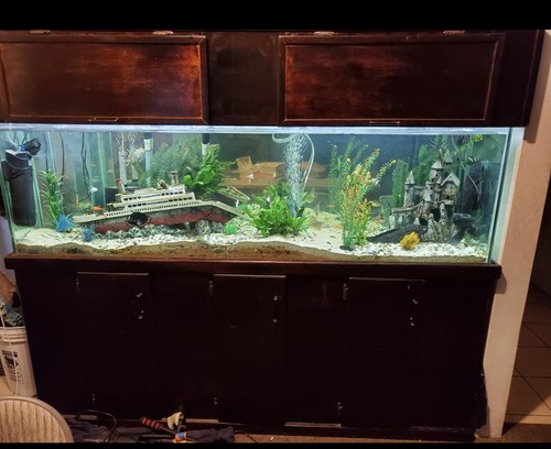 125 Gallon Pre-owned Fish Tank | eBay