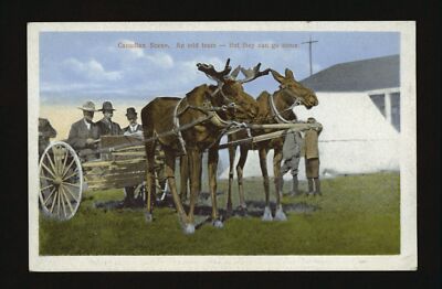 Canadian scene an old team - but they can go some - WR (Billy) Day- Old ...