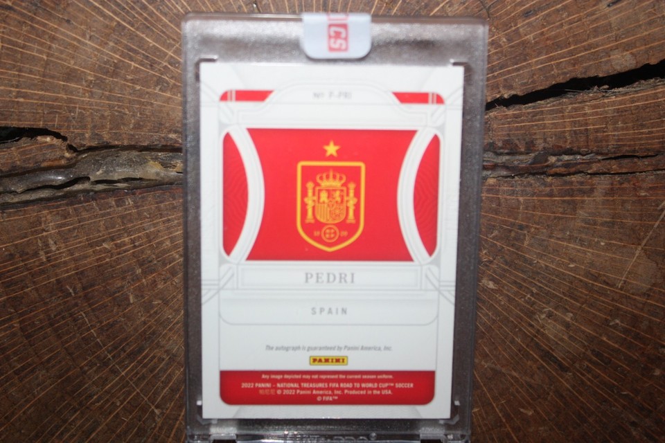 2022 PANINI NATIONAL TREASURES WORLD CUP PEDRI PENMANSHIP CARD 46/99 | eBay
