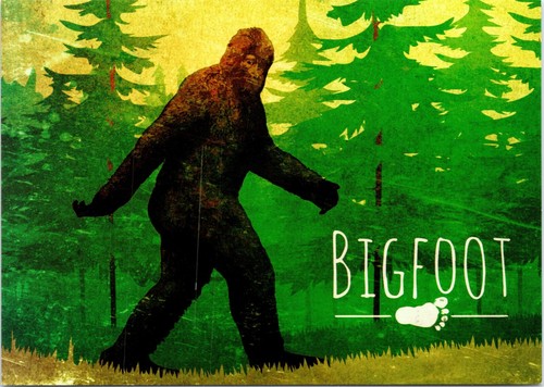 Bigfoot Sasquatch POSTCARD | eBay
