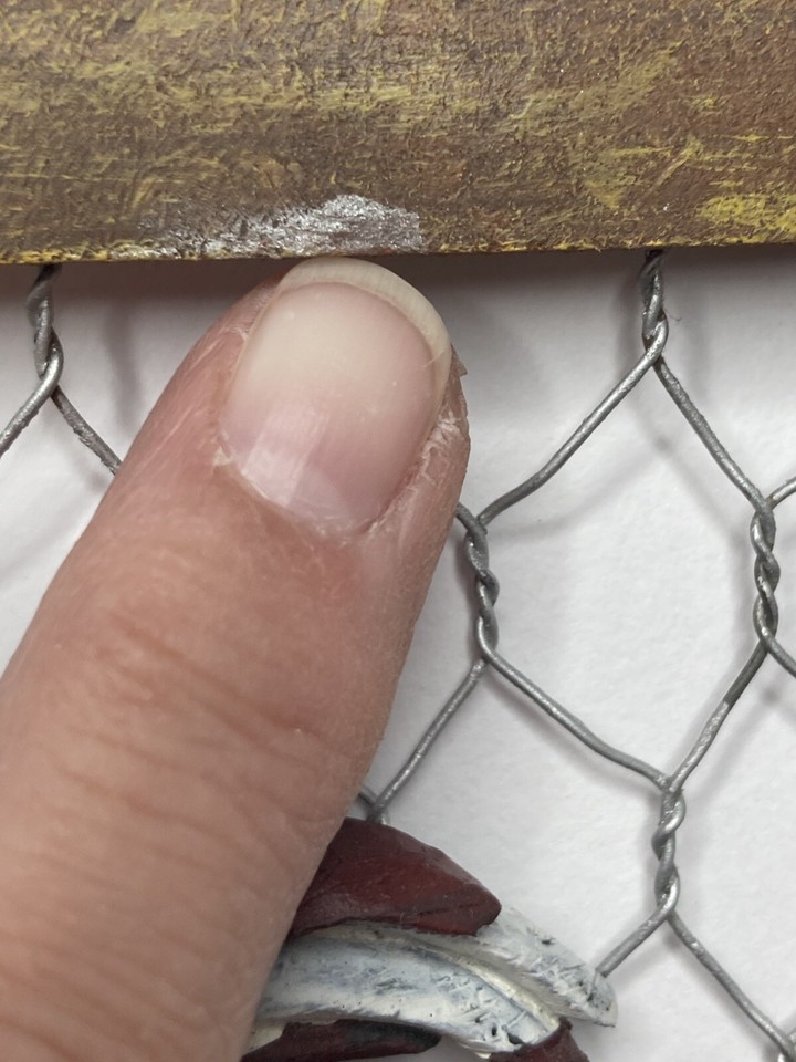 Roosters Framed Art patriotic w/chicken wire & composite frame preowned ...