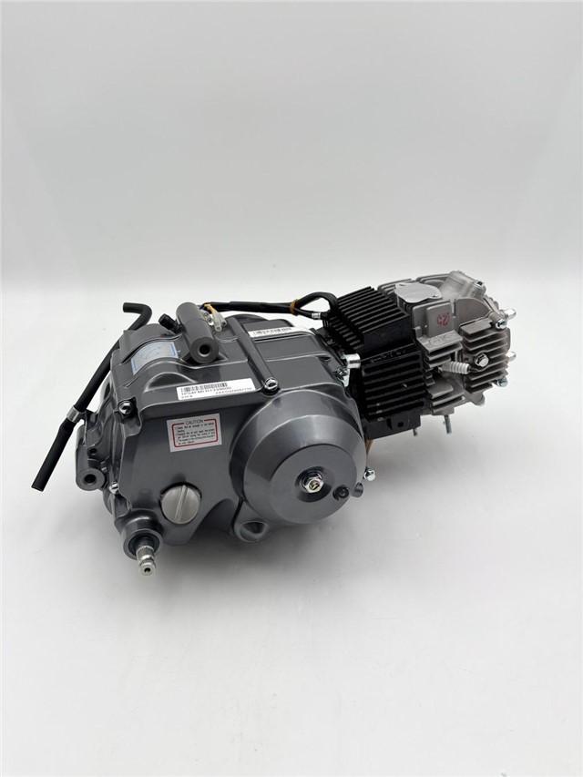 Pit Bike Lifan 125cc Big Valve 4 Speed Semi Auto Engine & Carb BBR Old ...