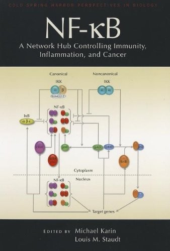 NF-KB , A NETWORK HUB CONTROLLING IMMUNITY, INFLAMMATION, By Michael ...