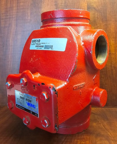 Viking 08510 4" EZR Check Valve Model F-1 250 PSI EZ Easy Riser Grooved ...