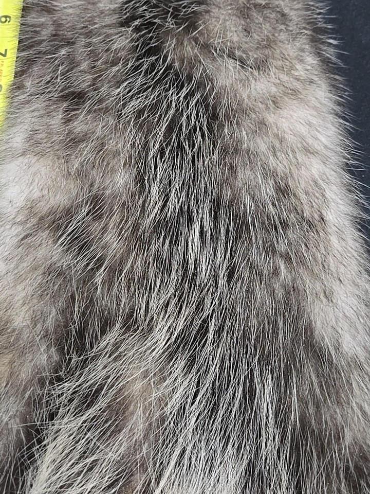 Opossum Possum Skin Pelt Taxidermy Fly Tying Material Dubbing Fur Craft ...