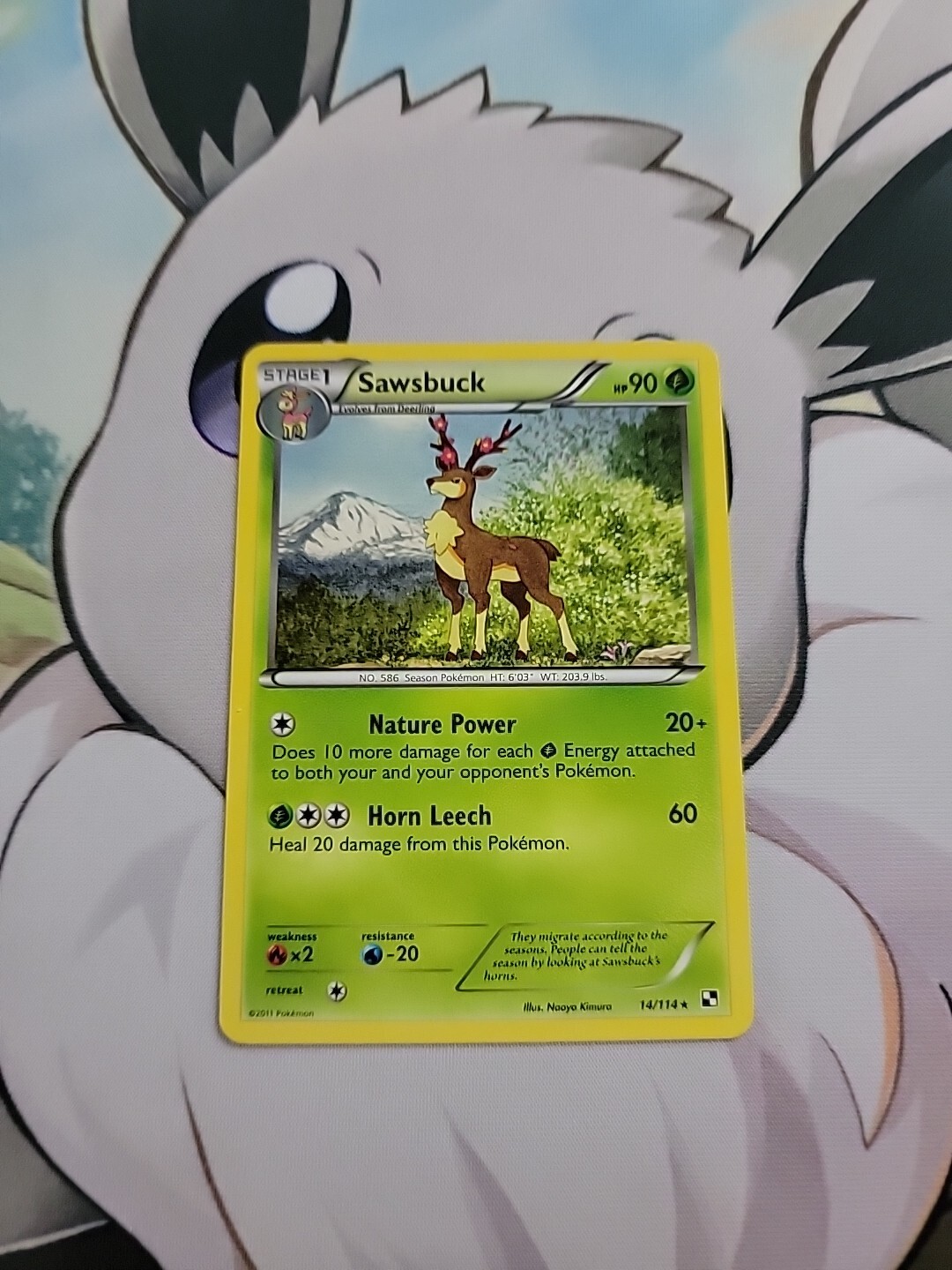Sawsbuck 14/114 Regular Rare 2011 Black & White Base Set Pokémon Card ...