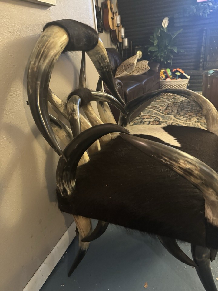 Texas Longhorn Chair Cattle Horn Bull Cow Hide Steer Authentic Texas ...