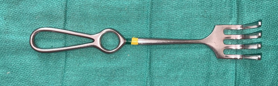 Lawton 4 Prong Volkmann Rake Dull 10" | eBay