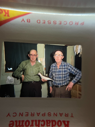 1970 LEM STEVE WARD BROS 35MM PHOTO SLIDE DUCK DECOY CRISFIELD MD | eBay