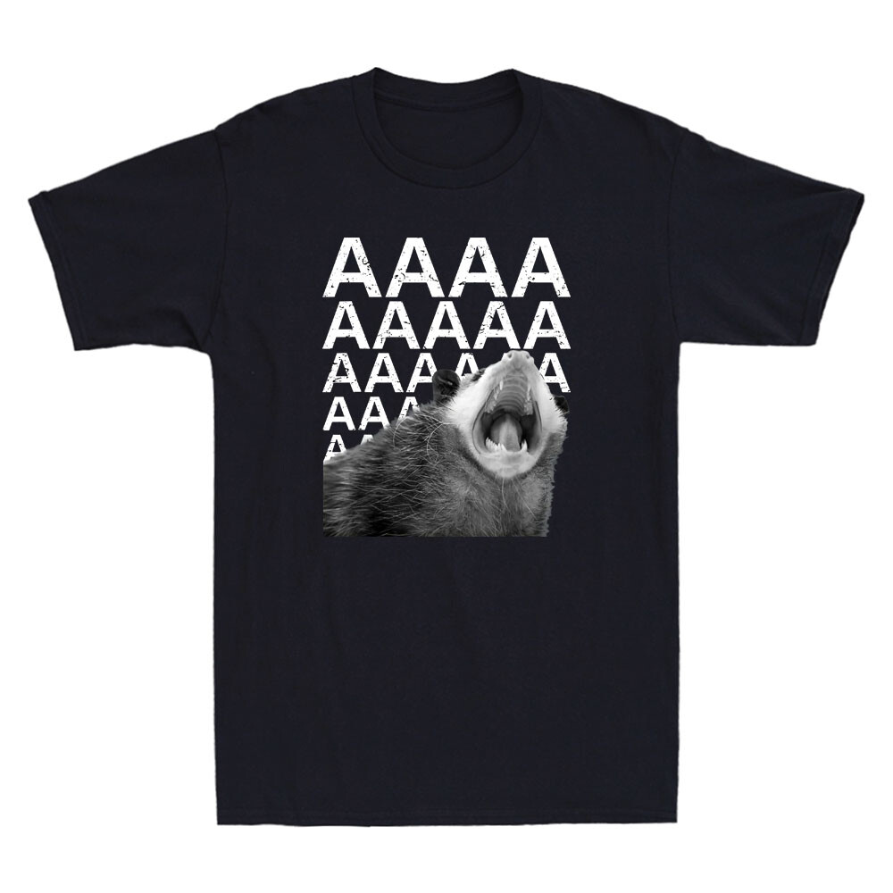 Aaa Meme
