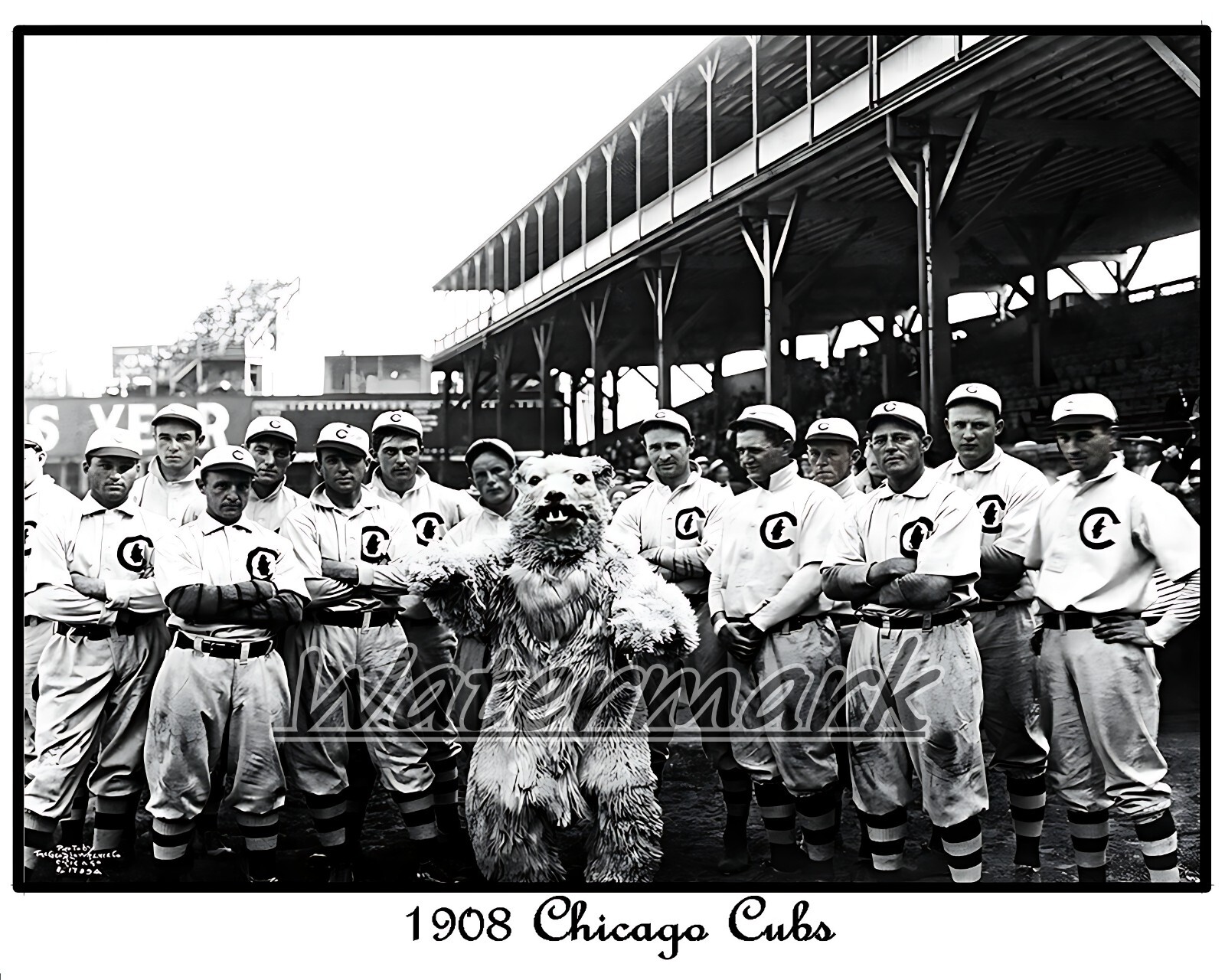 MLB 1908 Chicago Cubs Team Picture Black & White 8 X 10 Photo Picture ...