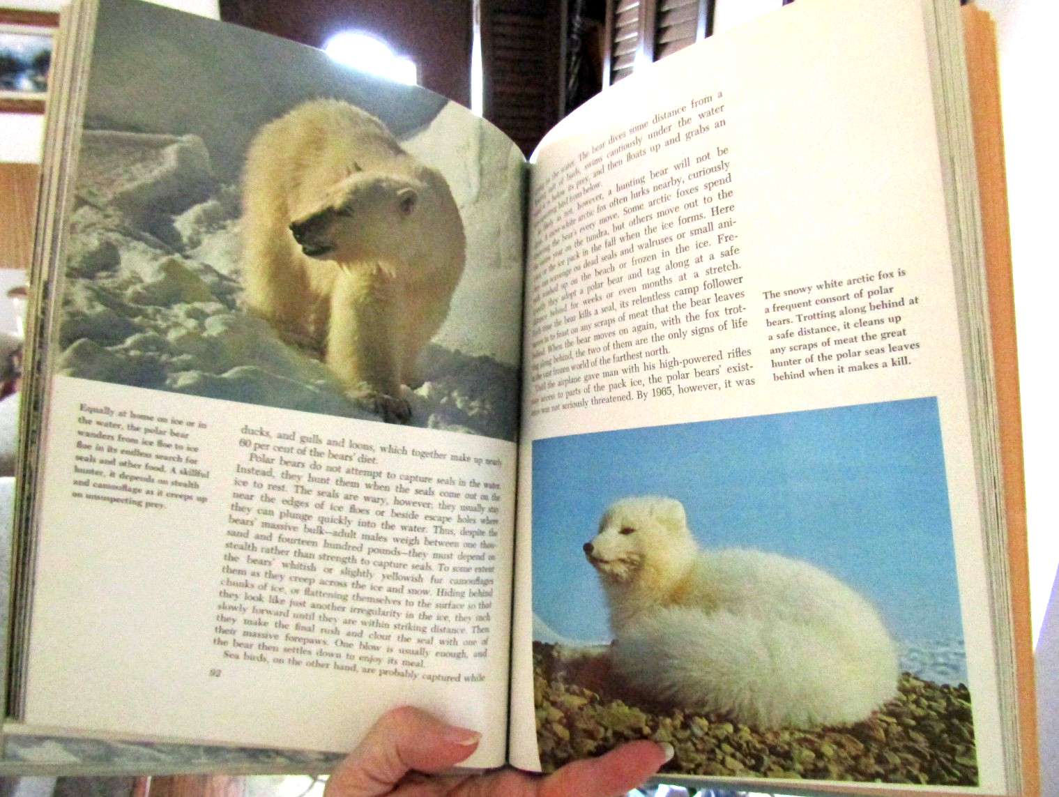 Vintage Our Living World of Nature Series, Set of 12 Books McGraw Hill ...
