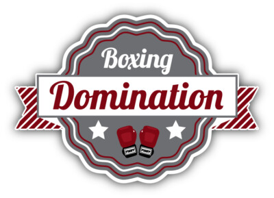 Boxing Domination Sport Label Car Bumper Sticker Decal | eBay