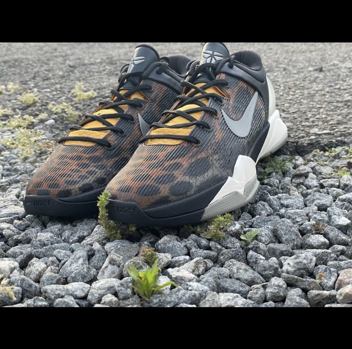 Nike Kobe 7 Cheetah Nike Kobe 7 System Cheetah 2012 488371 800