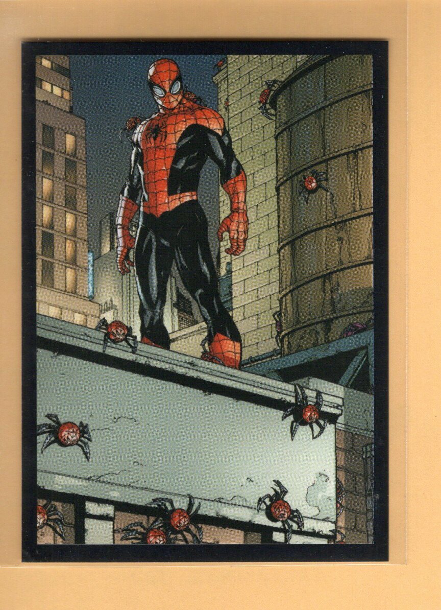 Panini Marvel Heroes Spiderman