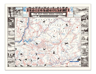 Vintage Forest County Map Poster - National Forest Wilderness ...