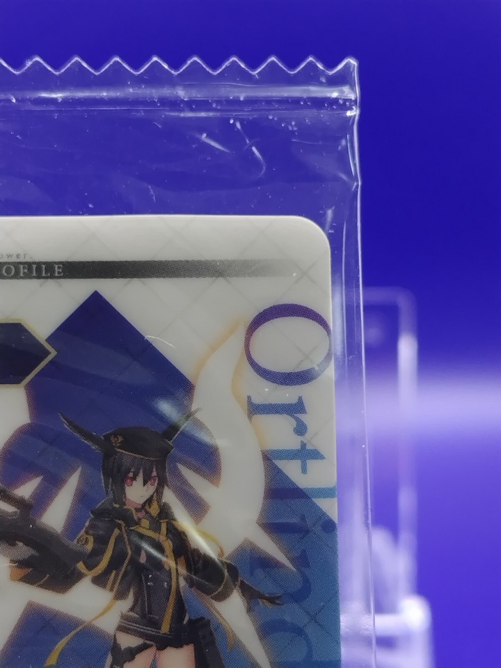 Ortlinde Fate Grand Order FGO Wafer Card Assassin Bandai Japan Japanese ...