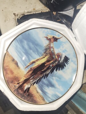 native american indian collector plates | eBay