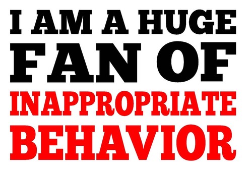 Fan Of Inappropriate Behavior Vinyl Decal Sticker Car Truck Off Road ...
