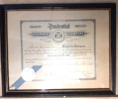 Prudential Insurance Company Old Guard in Frame shows a unique history ...