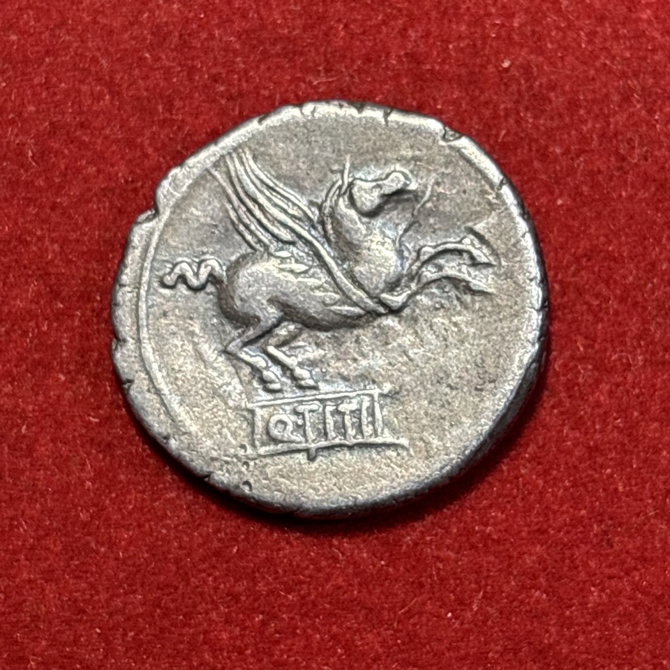 Roman Republic Silver Denarius - Rome 90 BC - Q. Titius - Pegasus | eBay