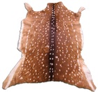 Axis Deer Hide Rug Grade Antelope Rug Axis Deer skin Argentina Axis ...