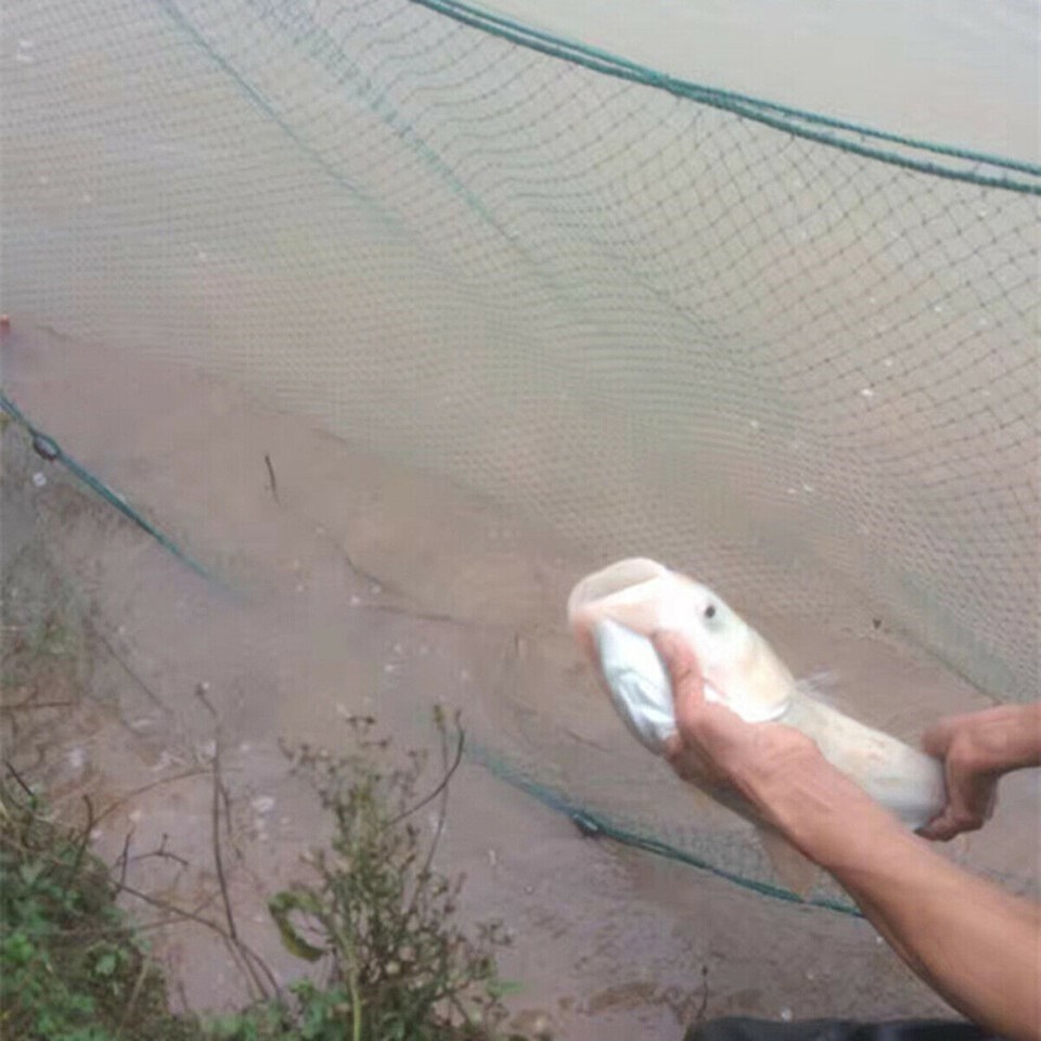 65Ft/33Ft Fishing Drag Net Beach Seine Bait Seine Nylon Mesh Fish Net ...