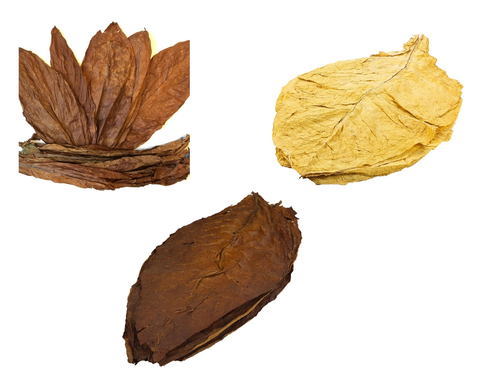 Tabak Rohtabak Tabakblätter Dekotabak 200g - 20kg und Probeangebot von ...