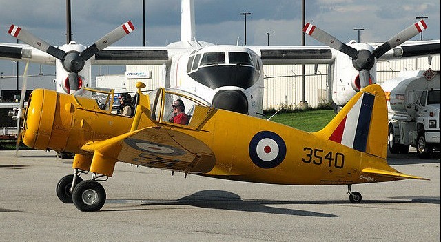 Fleet Model 60K Fort Canadian Trainer Aircraft Desktop Kiln Dry Wood ...