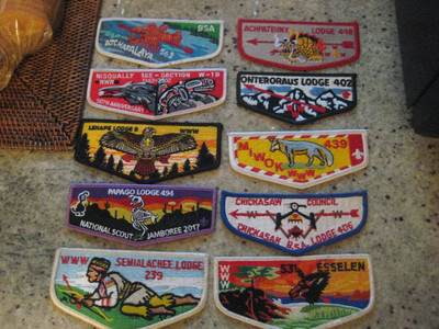 LOT OF 10 OA FLAPS (LOT 30) | eBay