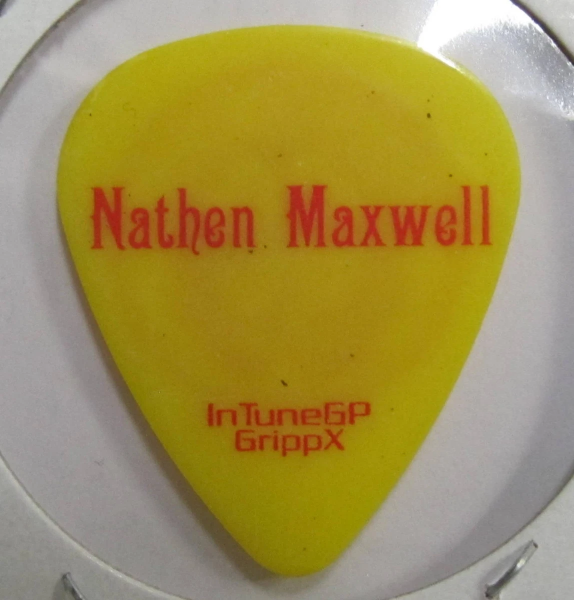 Nathen Maxwell Flogging Molly