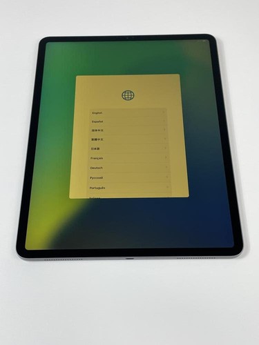Apple iPad Pro 12.9" (4th Gen) 128GB (WiFi) A2229 Space Gray - | eBay
