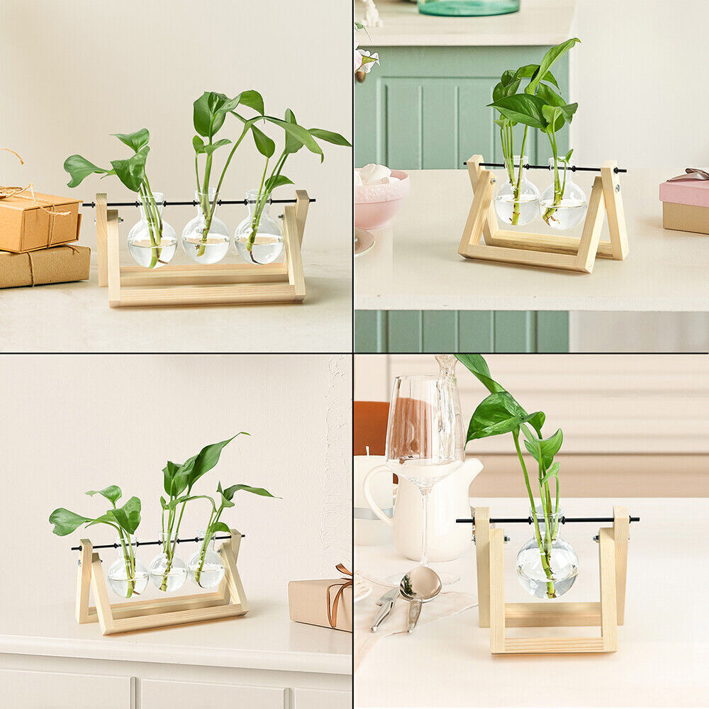 Plants Terrarium Glass Flower Pot Clear Plant Propagating Stand, 1-3 ...