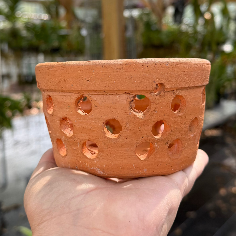 4” Clay Orchid Pots with holes- Various Designs | eBay