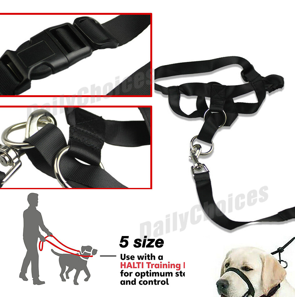AU Dogalter Dog Halter Halti Training Head Collar Gentle Leader Harness ...
