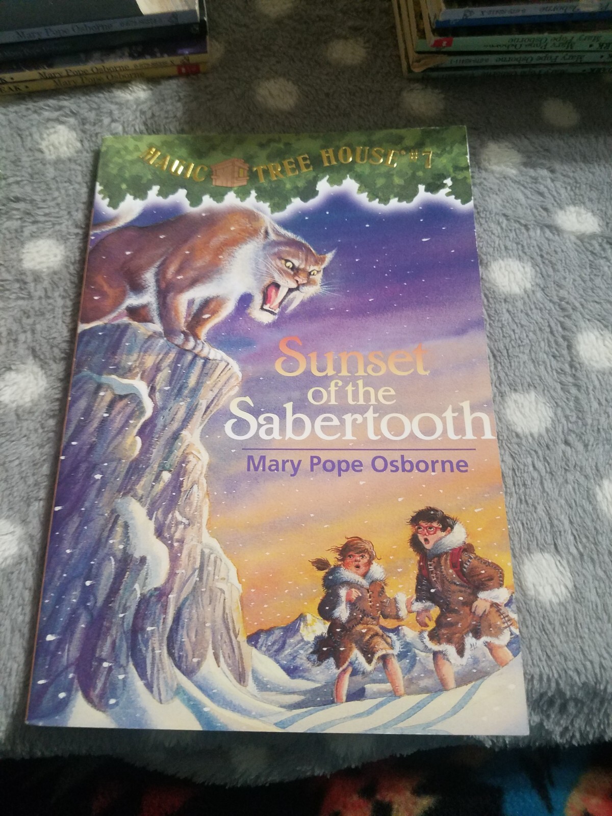 Magic Tree House Chapter Books ~ YOU CHOOSE, BUILD A LOT ~ Buy More ...