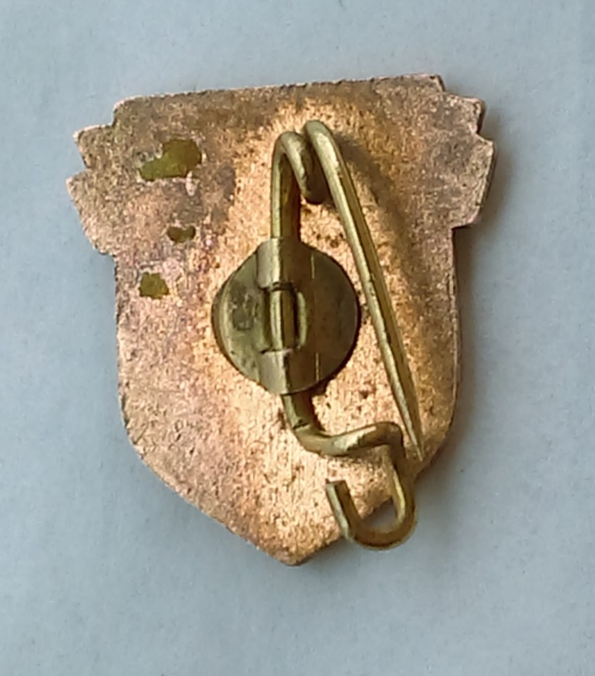 GRAZ STMK. Austria - Österreich, COAT OF ARMS, antique pin, badge ! | eBay