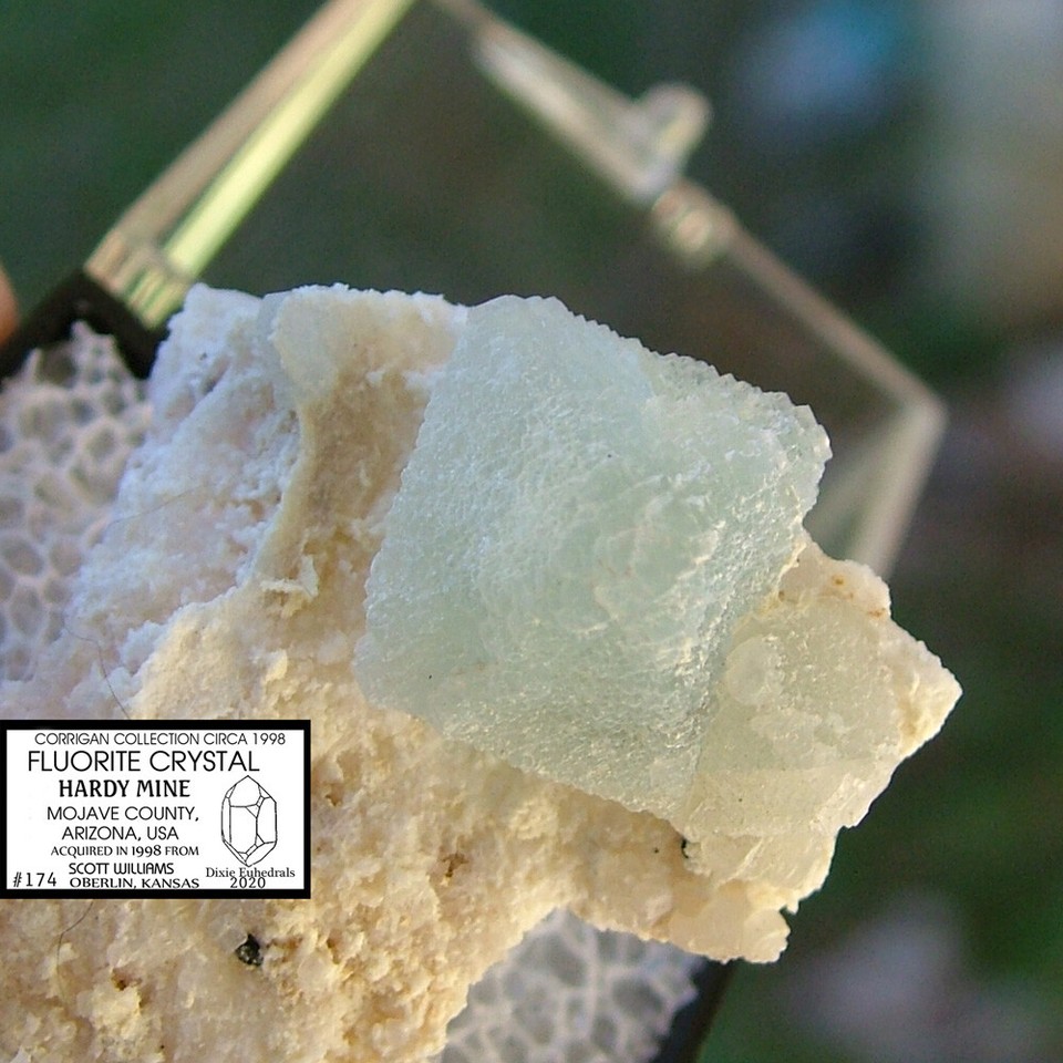 ARIZONA FLUORITE CRYSTAL HARDY MINE in perky box MOJAVE COUNTY GREEN ...