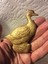 ANTIQUE GOLD DRESDEN DUCK CHRISTMAS ORNAMENT | eBay