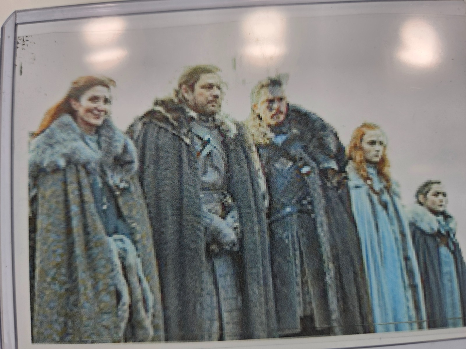 Game of Thrones the Great Houses The Saga of Catelyn Stark Cards Pick ...